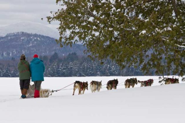 Winter Wonder: Dog Sledding in Maine | Mahoosuc Guide Service Maine