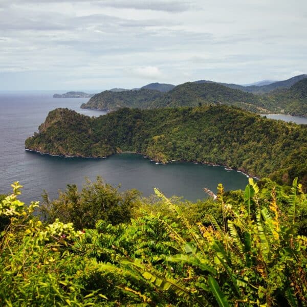 Discover the Hidden Treasures of Tobago