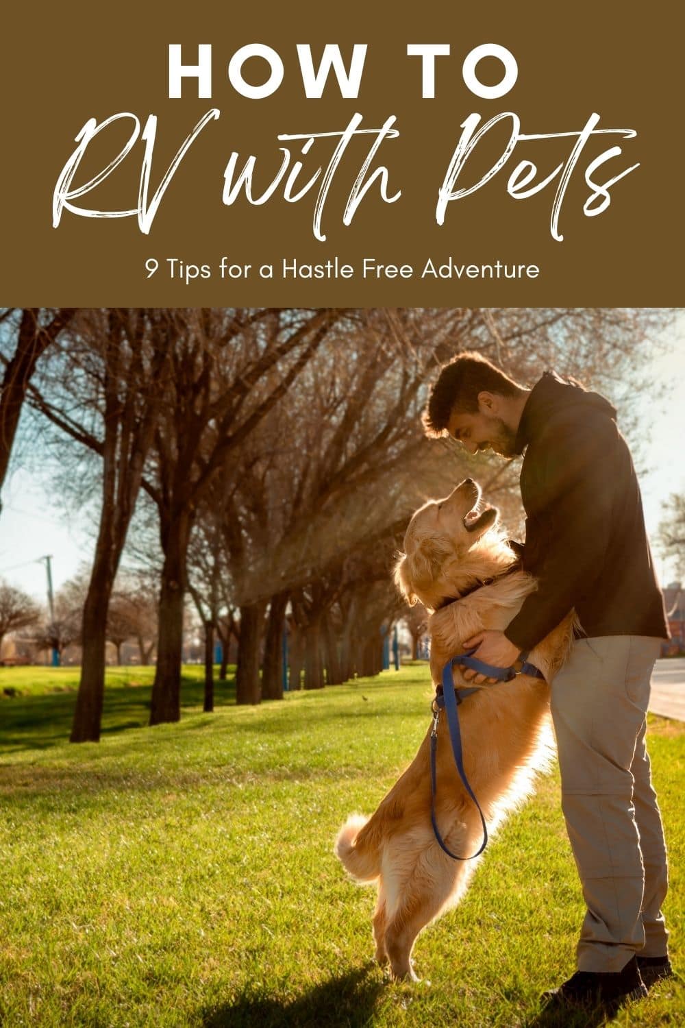 How to Road Trip with Pets | 9 Tips on Traveling with Pets