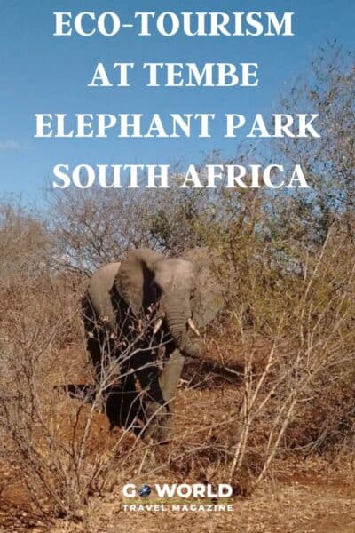 Tembe Elephant Park: A Community of Wildlife Preservation