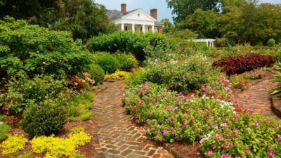 A Tale of Two Lowcountry South Carolina Plantations