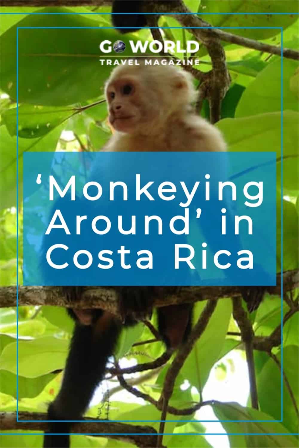 My Quest to Find All of Costa Rica's Wild Monkeys