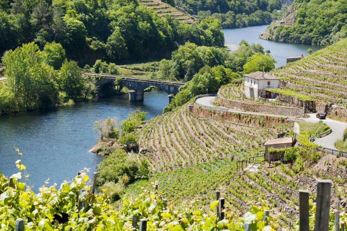 Ribeira Sacra: Natural Beauty, Wine, Monasteries and the Sil Canyons
