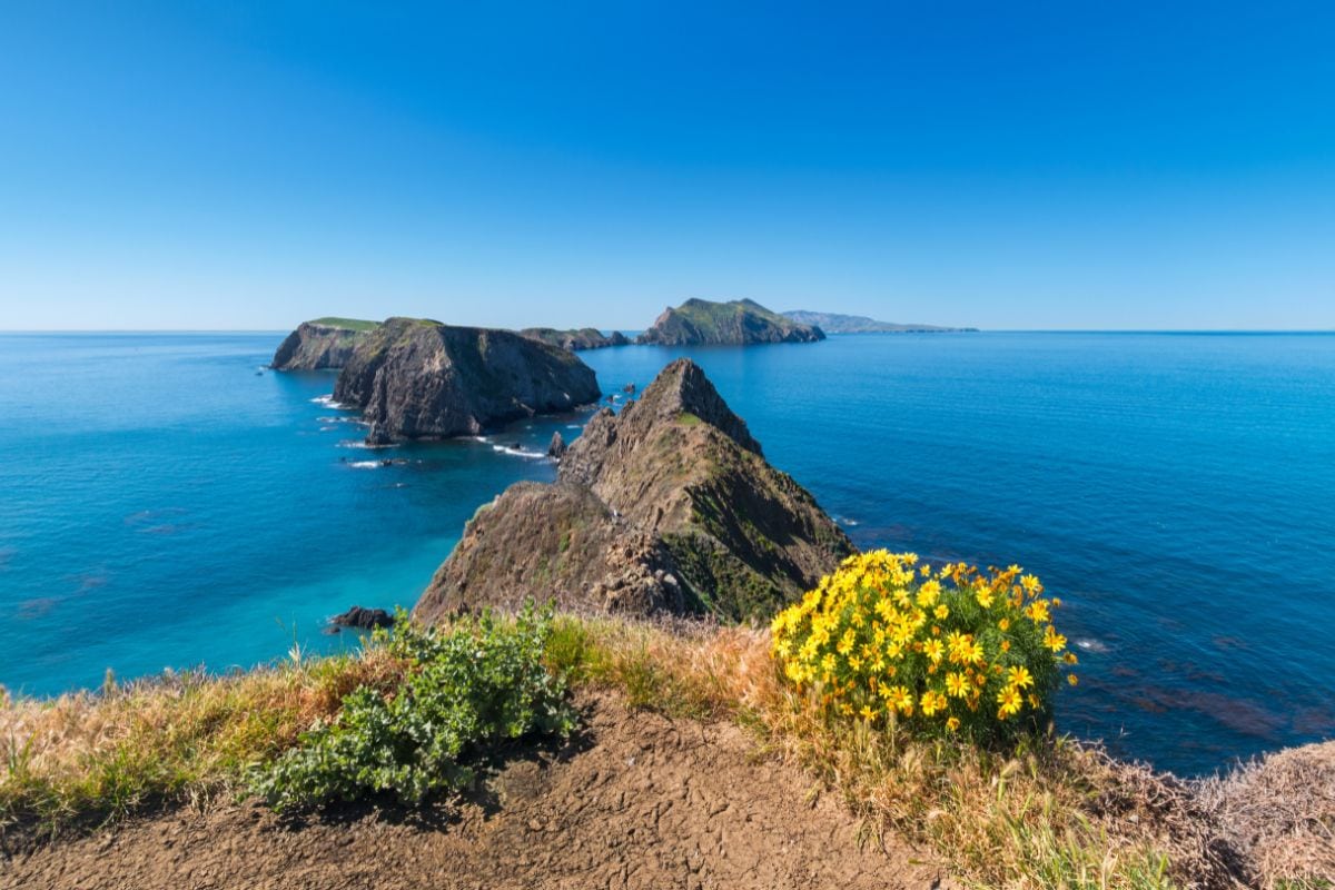 Channel Islands in California: Known as the Galapagos of the North