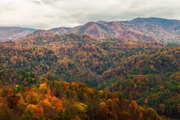 Following the Fall Colors in the USA from Maine to Tennessee