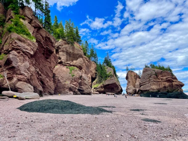 15 Facts About New Brunswick, Canada to Make You Want to Visit