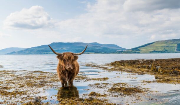 Visit Scotland's Shetland Islands | Travel in Shetland