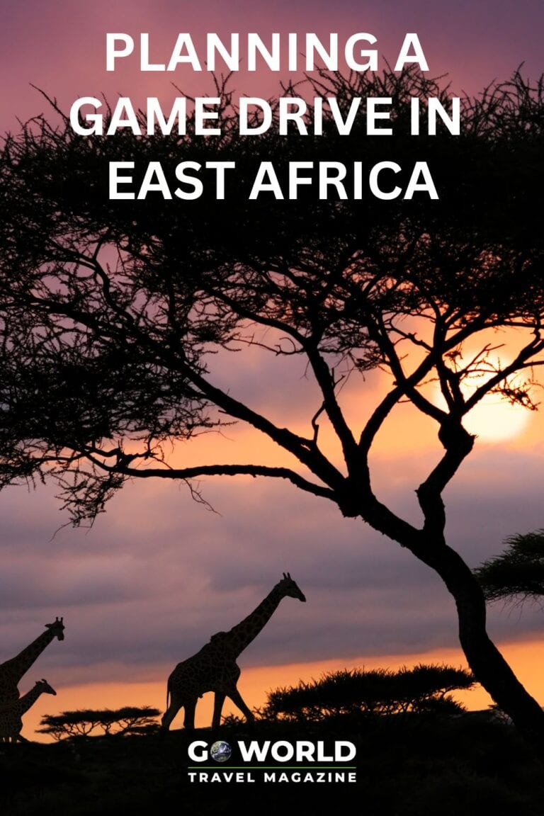 Guide to Game Drives in East Africa: Everything You Need to Know