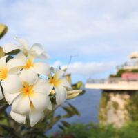 Guam in Color: Inspiring an Island through Public Art