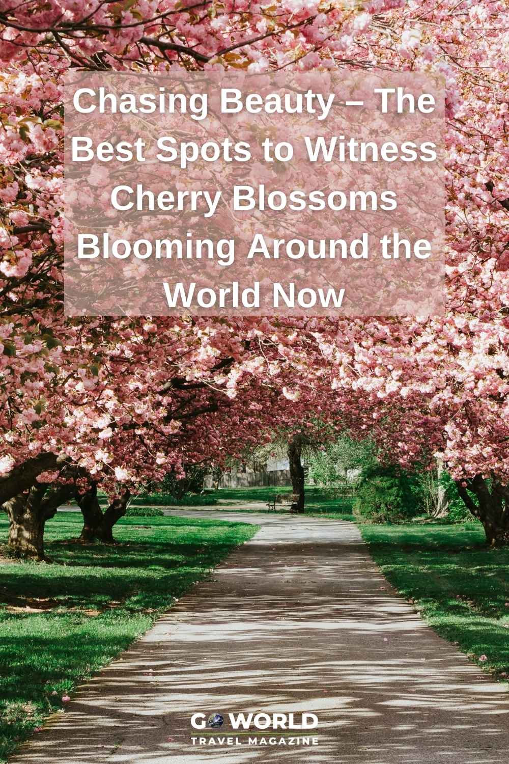 The Best Places to See Cherry Blossoms Around the World
