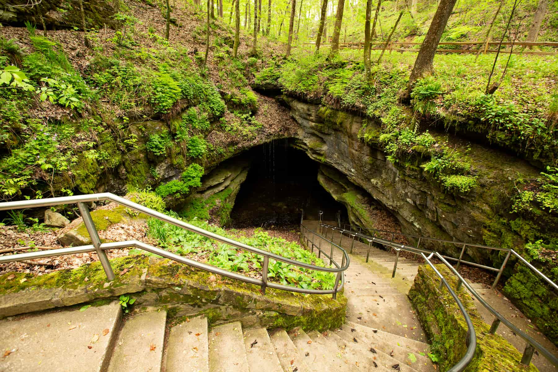 Mammoth Cave National Park: Underground Wonderland Kentucky