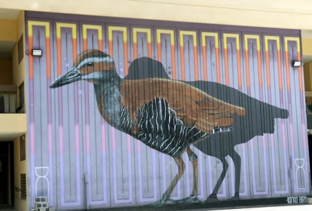 Guam in Color: Inspiring an Island through Public Art