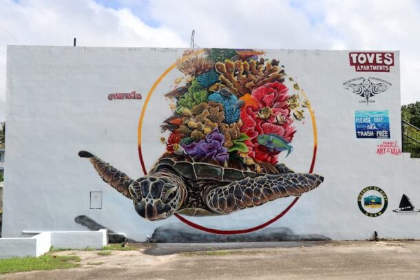 Guam in Color: Inspiring an Island through Public Art