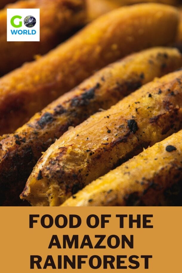 Food in the Amazon Rainforest You Must Try