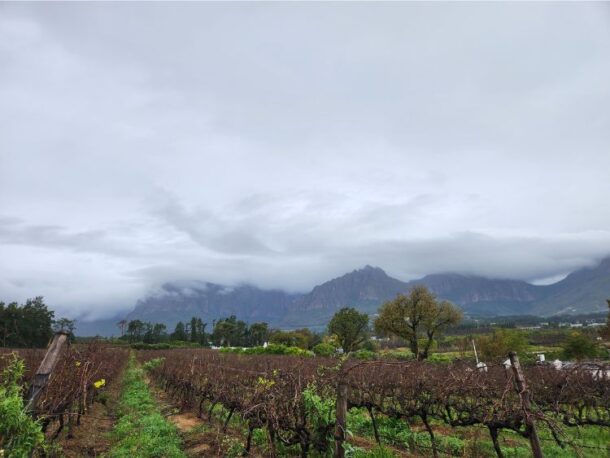Paarl, A Beautiful Town in South Africa’s Cape Winelands