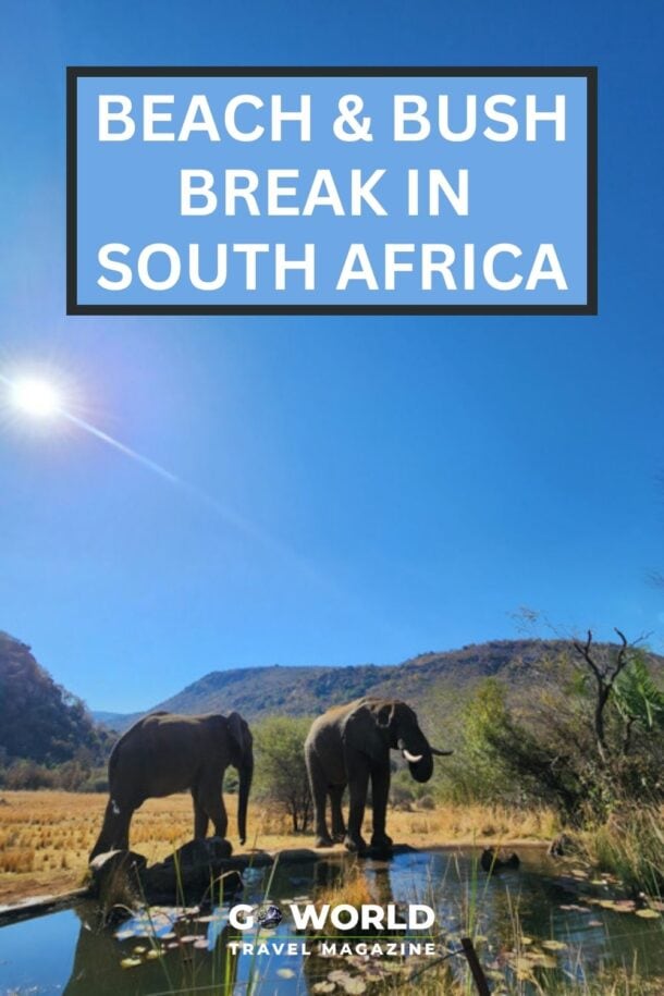 An Easy Beach and Bush Break in South Africa