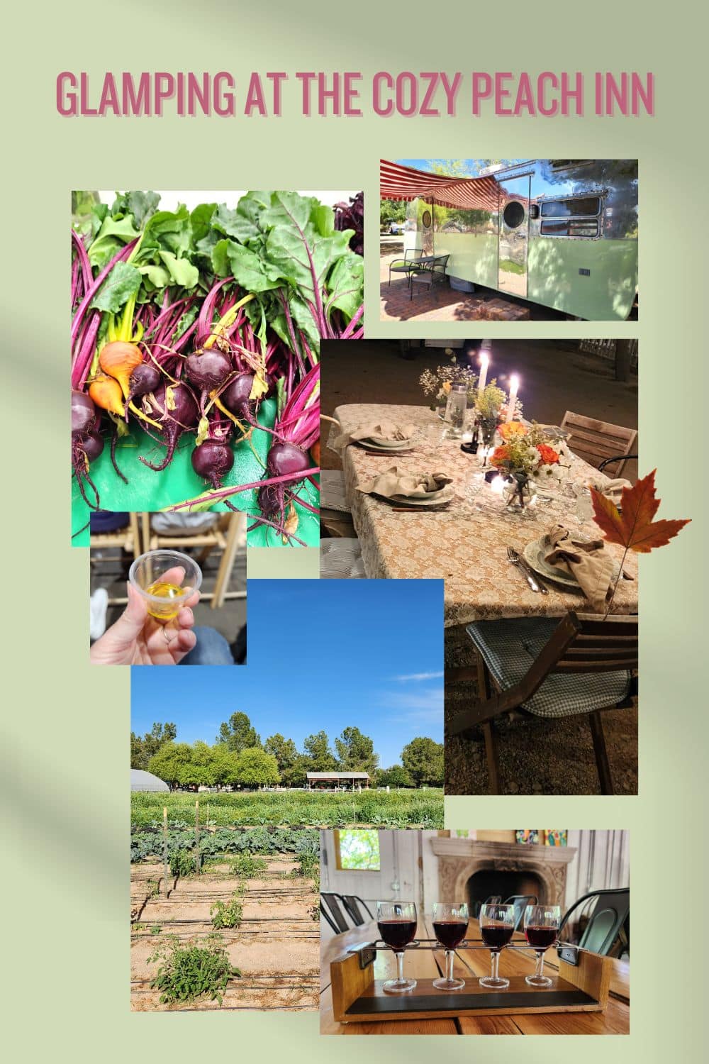 Discover Queen Creek: Glamping Weekend at The Cozy Peach
