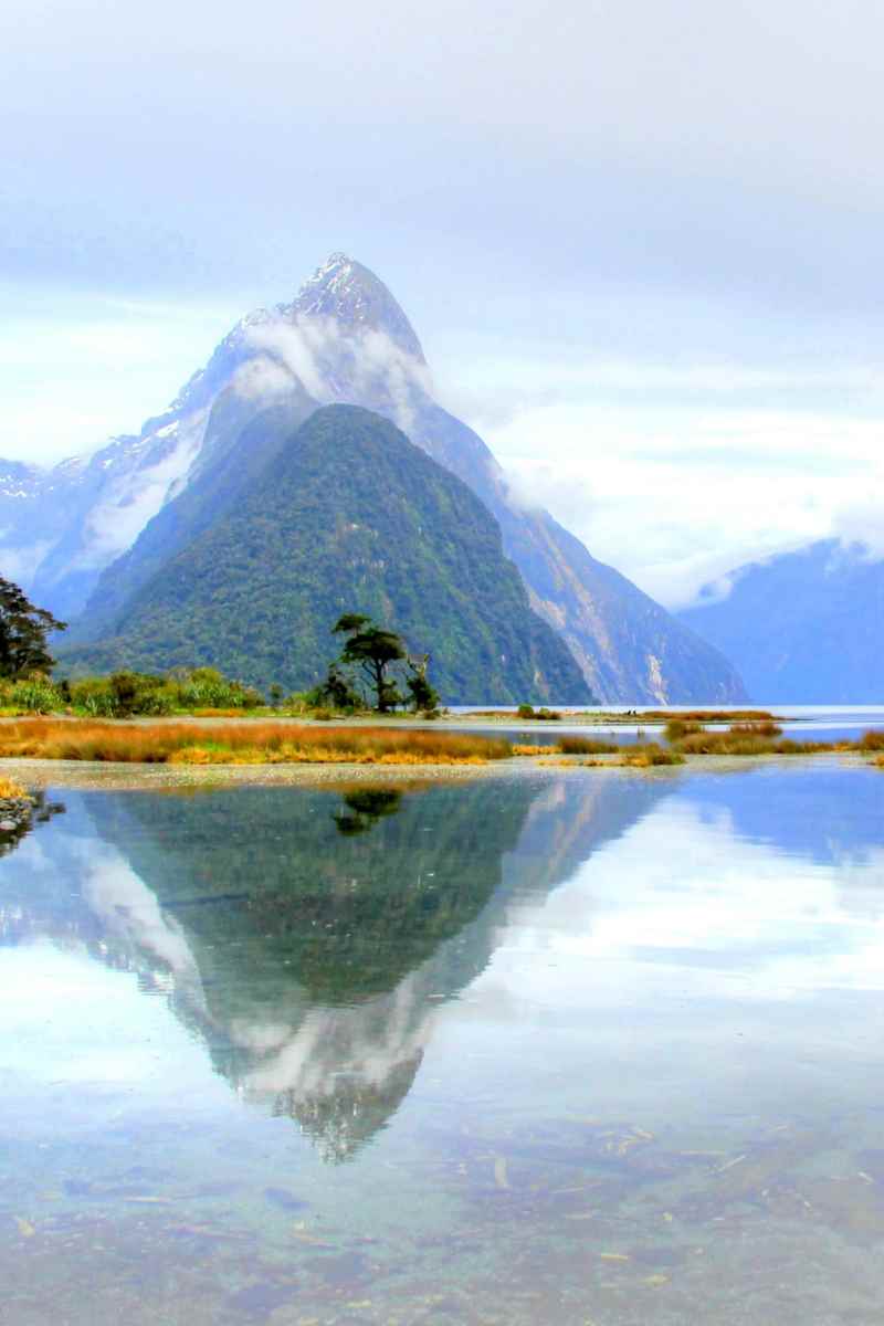 Milford Sound: New Zealand's Dramatic Fiord Experience
