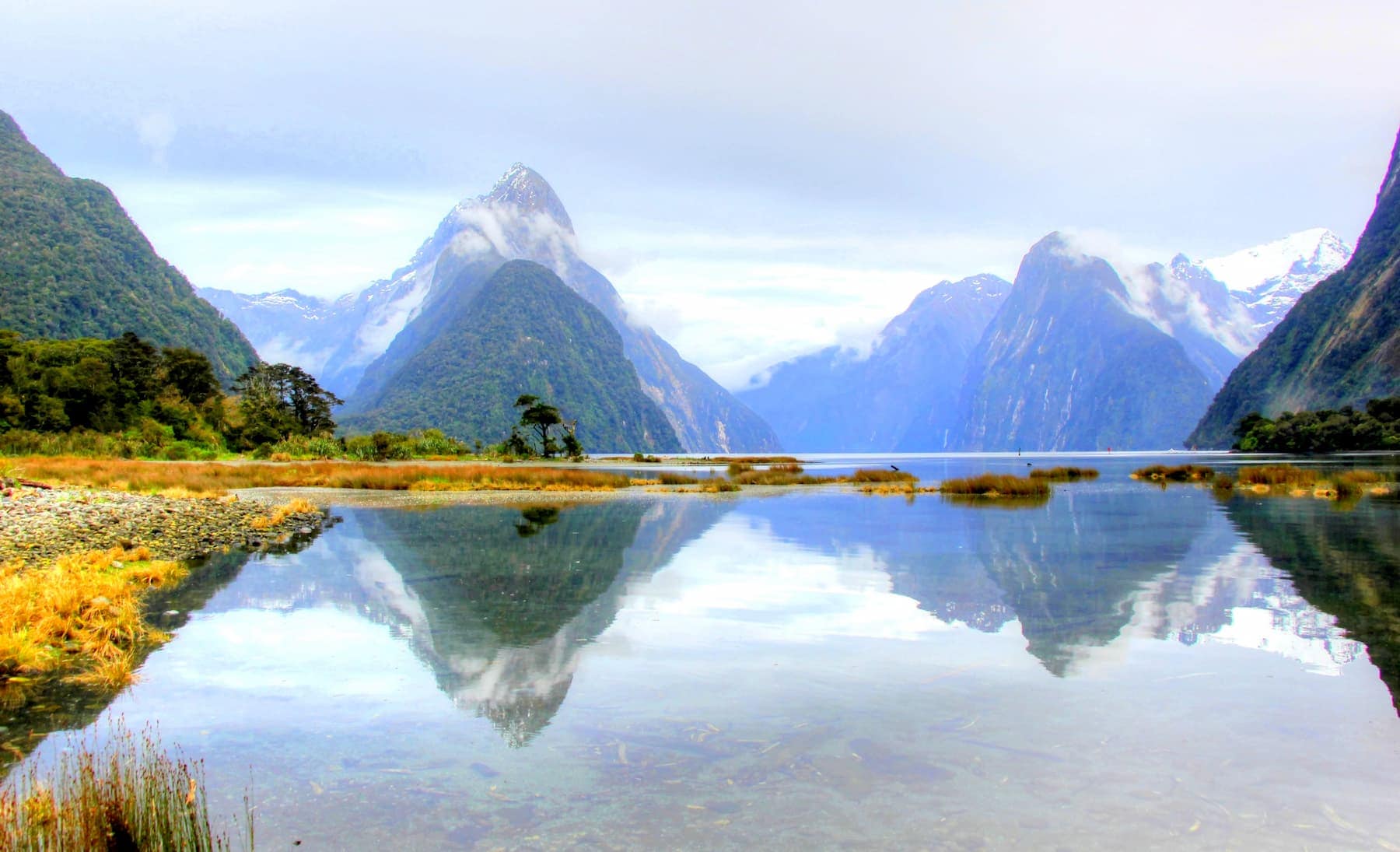 Milford Sound: New Zealand's Dramatic Fiord Experience