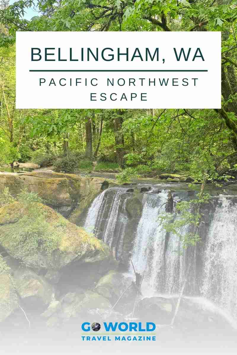 A Guide to Bellingham, WA: What to See and Do in Bellingham