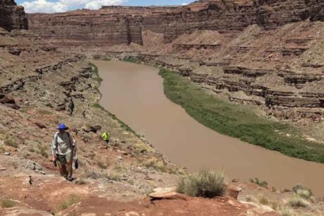 Raft Utah’s Cataract Canyon for a Mild to Wild Adventure