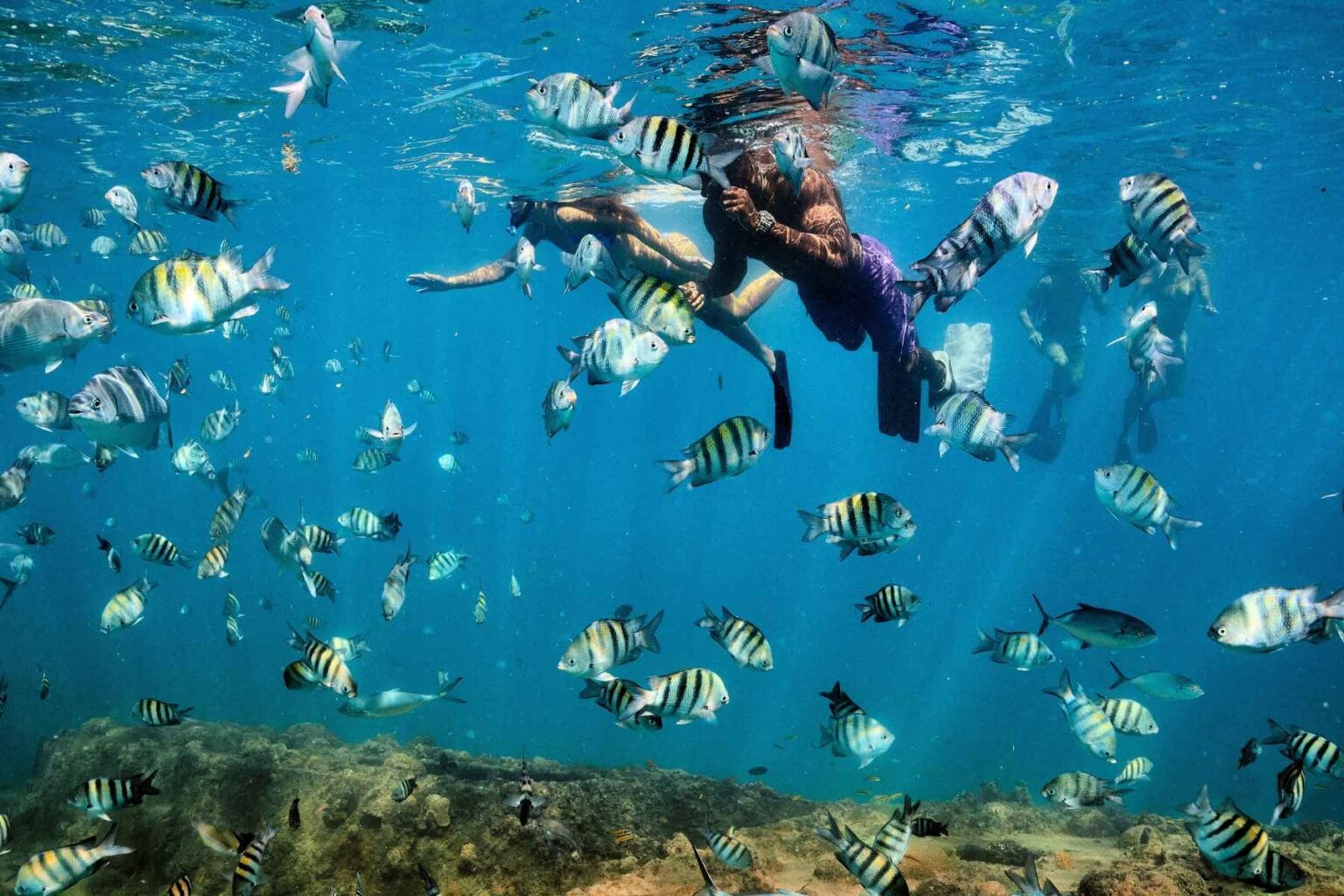 Diving in Barbados: How I Went from Snorkeler to Certified Diver