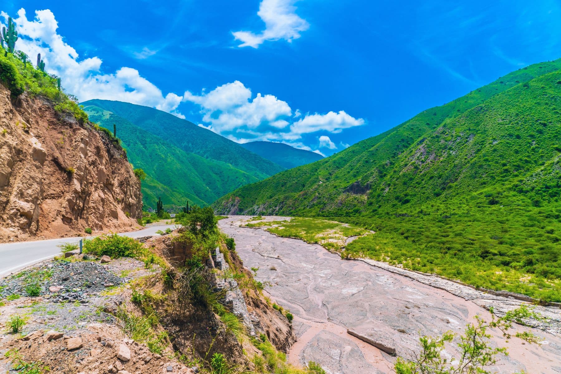 Driving RN40 in Argentina: A Diversely Scenic Road Trip Adventure