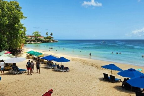 Discover the Hidden Treasures of Tobago