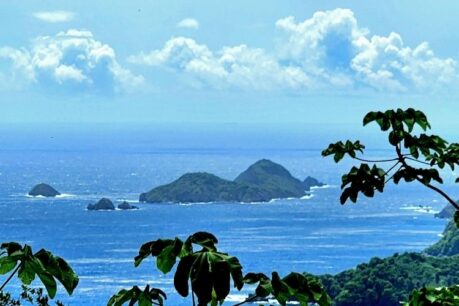Discover the Hidden Treasures of Tobago