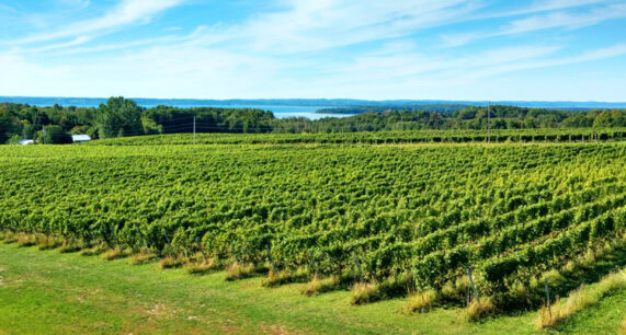 Escape to Traverse City and Explore Michigan's Cherry Capital