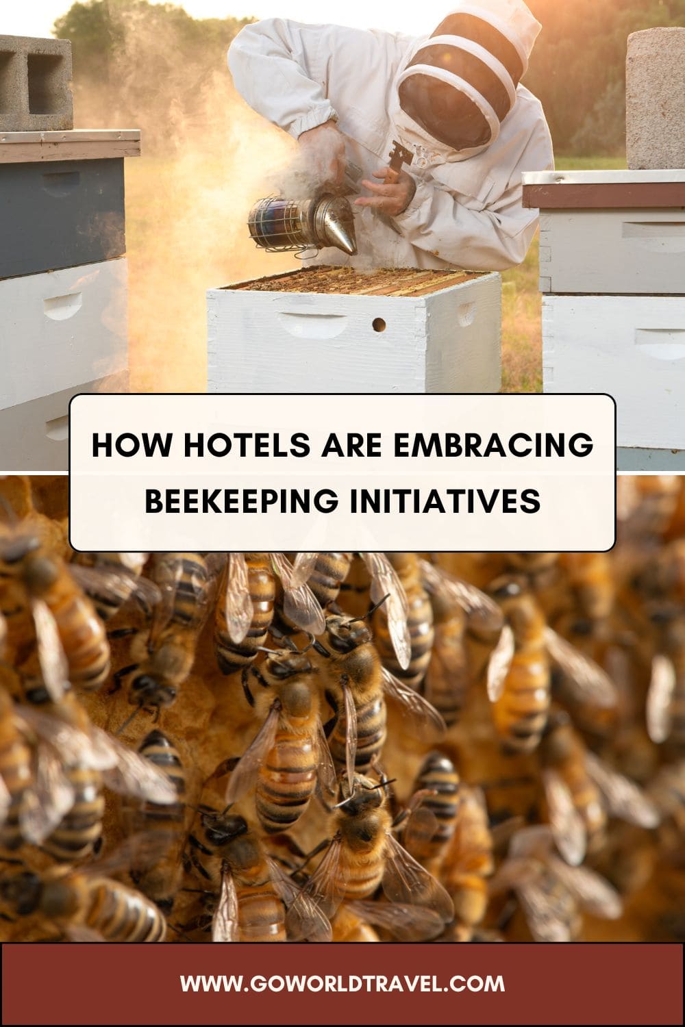 How Hotels Are Embracing Beekeeping for a Sustainable Future