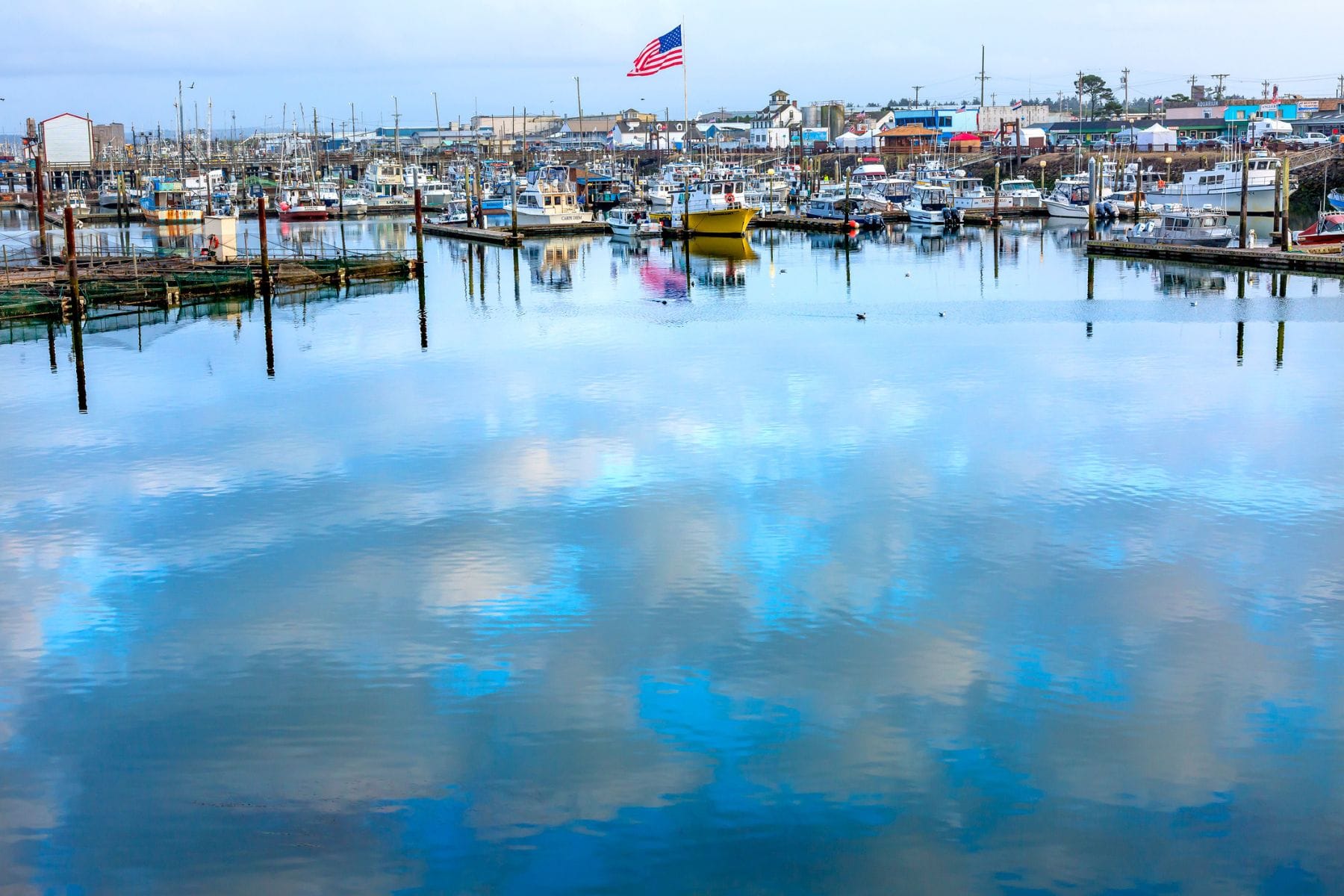Oceans of Opportunities in Washington's Gray Harbor Region