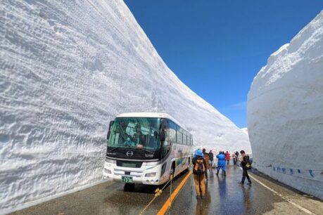 Toyama Snow Corridors: Explore Japan's Snow Walls