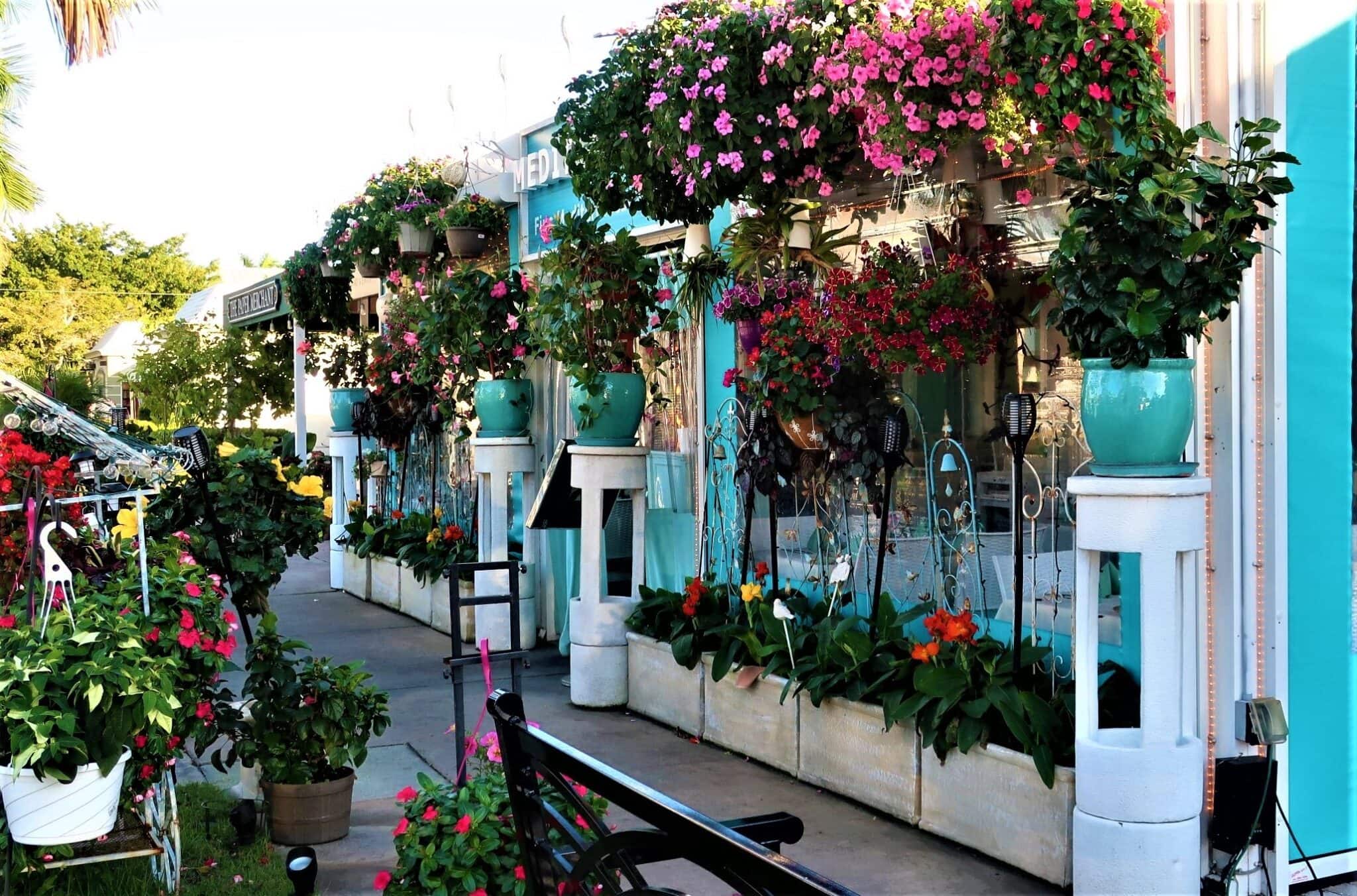 Naples, Florida, Where Nature and Classiness Mingle