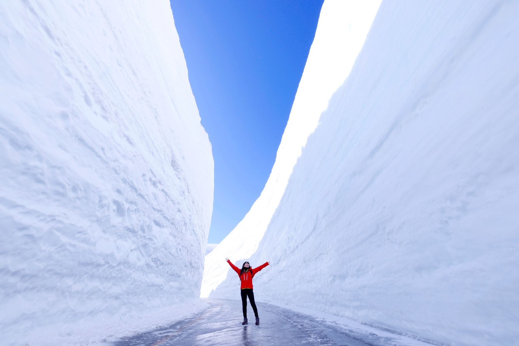 Toyama Snow Corridors: Explore Japan's Snow Walls
