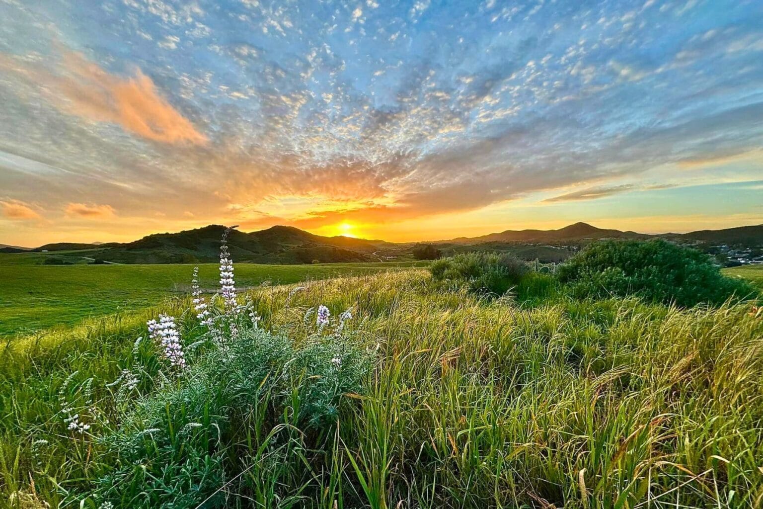 Conejo Valley: A Peaceful Retreat from LA's Chaos