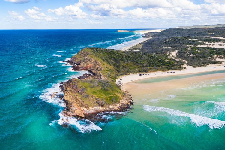 K'gari, Australia: Where Dingoes Roam and Whales Dance