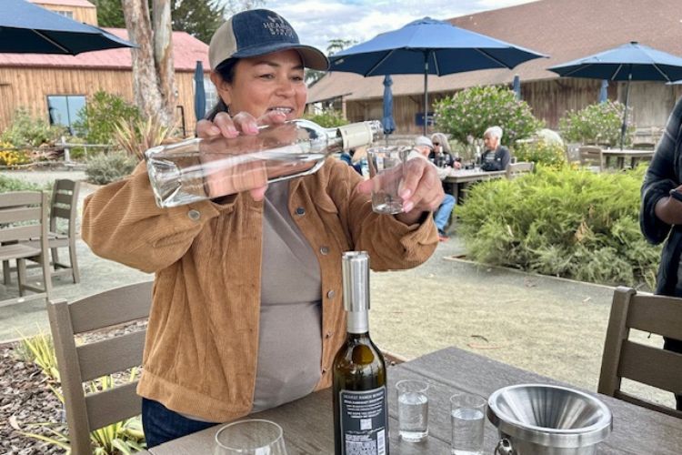 Highway1DiscoveryRoute.com: Oceanfront Playground of Towns