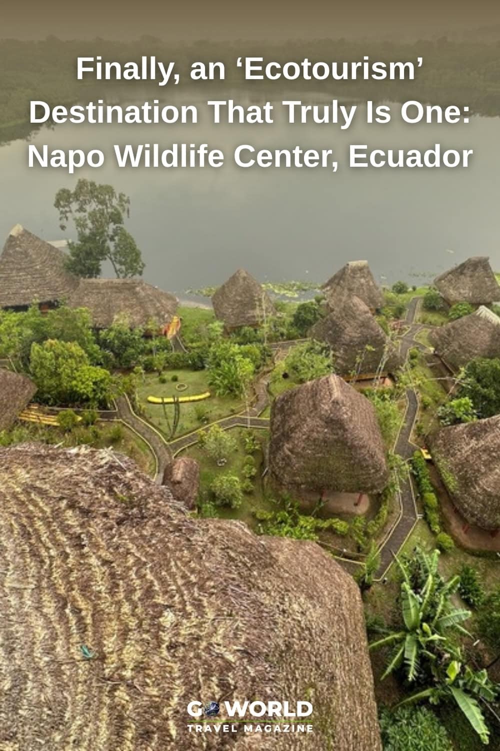 Ecotourism in Ecuador: Explore the Napo River