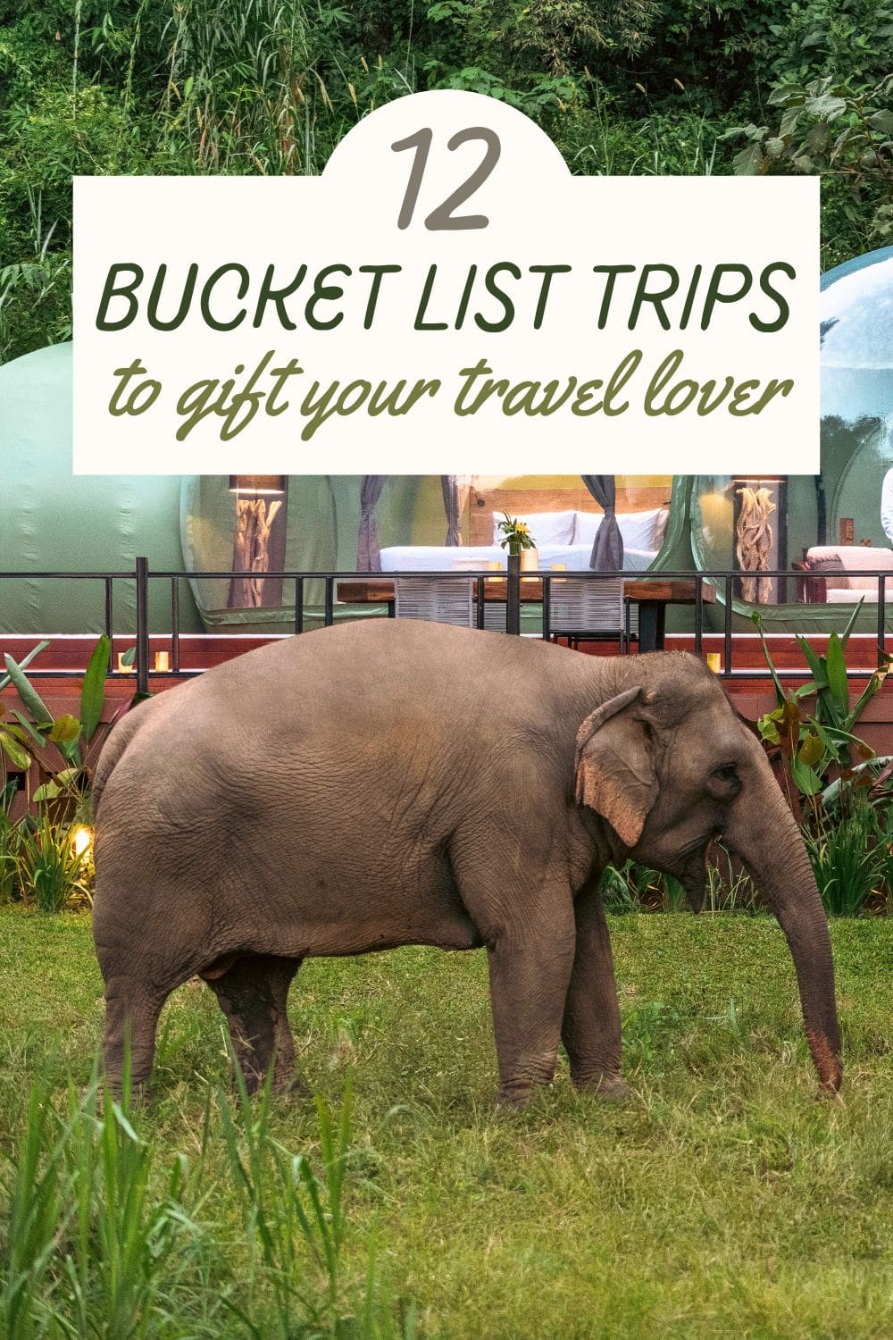 12 Bucket List Adventures to Gift Your Travel Lover This Year