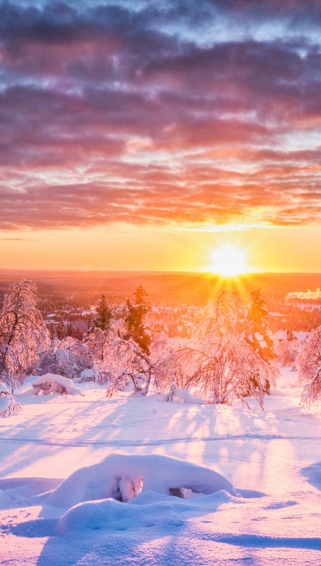 5 Days in Swedish Lapland: Winter Journey Above the Arctic Circle