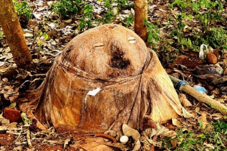Inside Benin's Voodoo Heartland: Exploring West Africa's Ancient ...